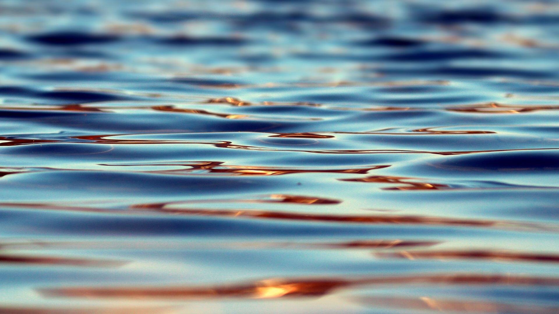 Irwin's Marine Safety Services: Water Rescue & Training