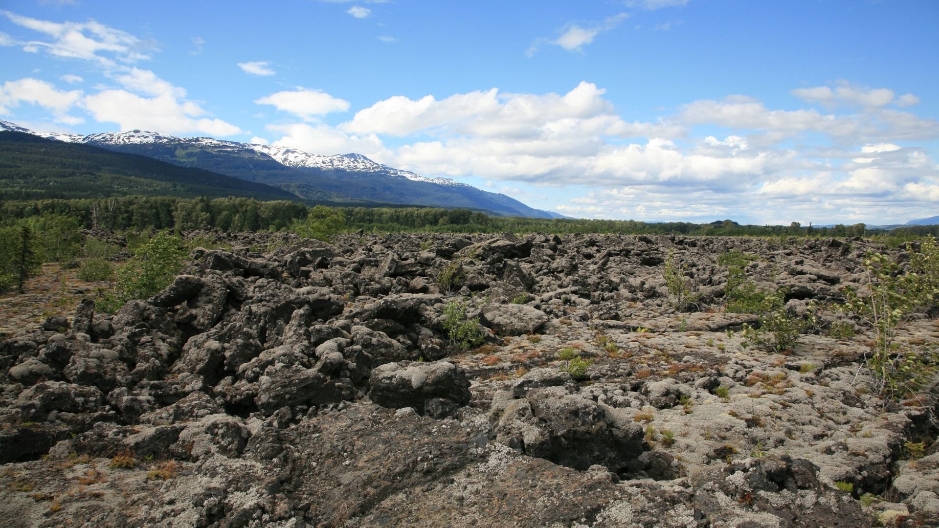 Occupational Health & Safety Services | Terrace, BC | Irwin's Safety